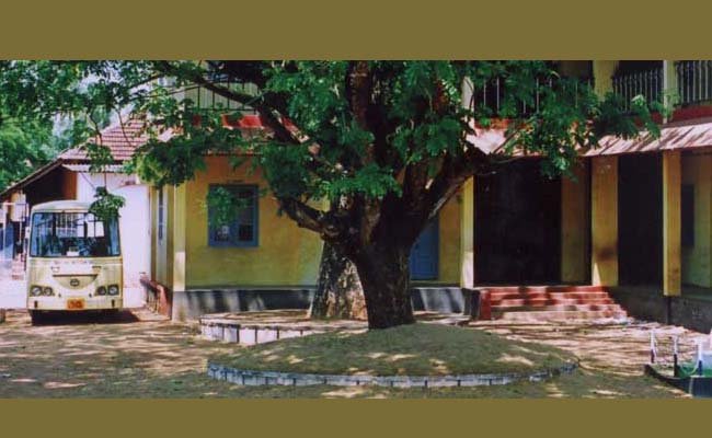 Sree Devi English Medium School Punnapra, Alappuzha - MixIndia