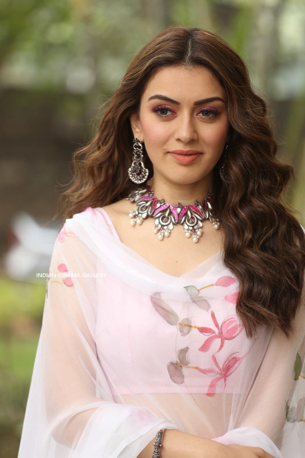 Hansika Motwani Biography, Age, Family & Movies - MixIndia