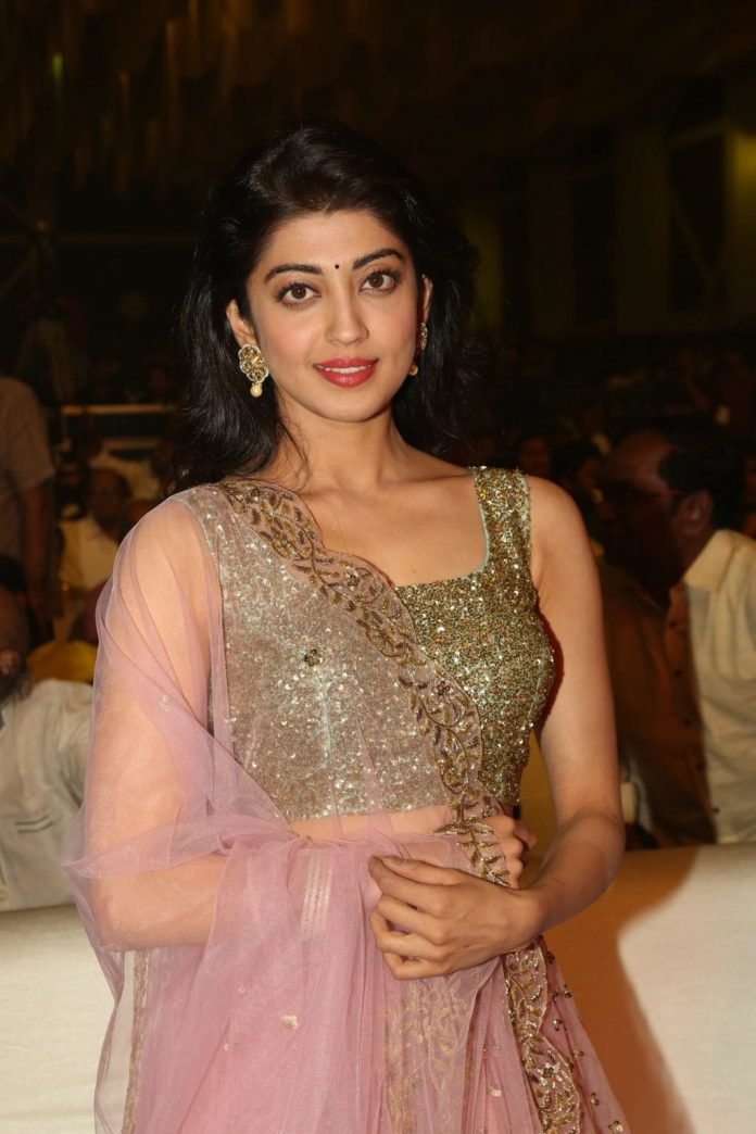 Pranitha Subhash Biography, Age, Family & Movies - MixIndia