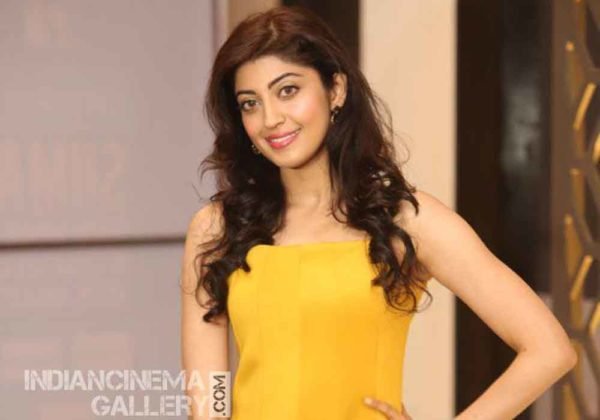 Pranitha Subhash Biography, Age, Family & Movies - MixIndia